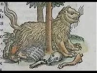 Jeff | Global mythology Wiki | Fandom