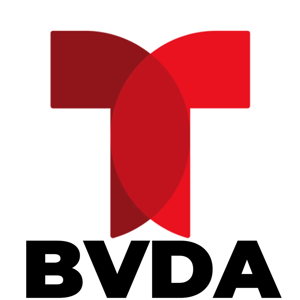 BVDA | Globalfiction Wiki | Fandom