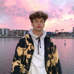 Zesti | The Global Challenge Wiki | Fandom