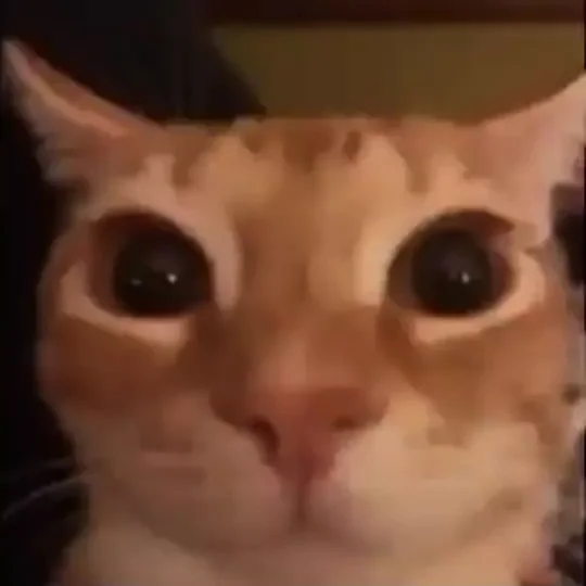 Glungus | Gloobert Wiki | Fandom