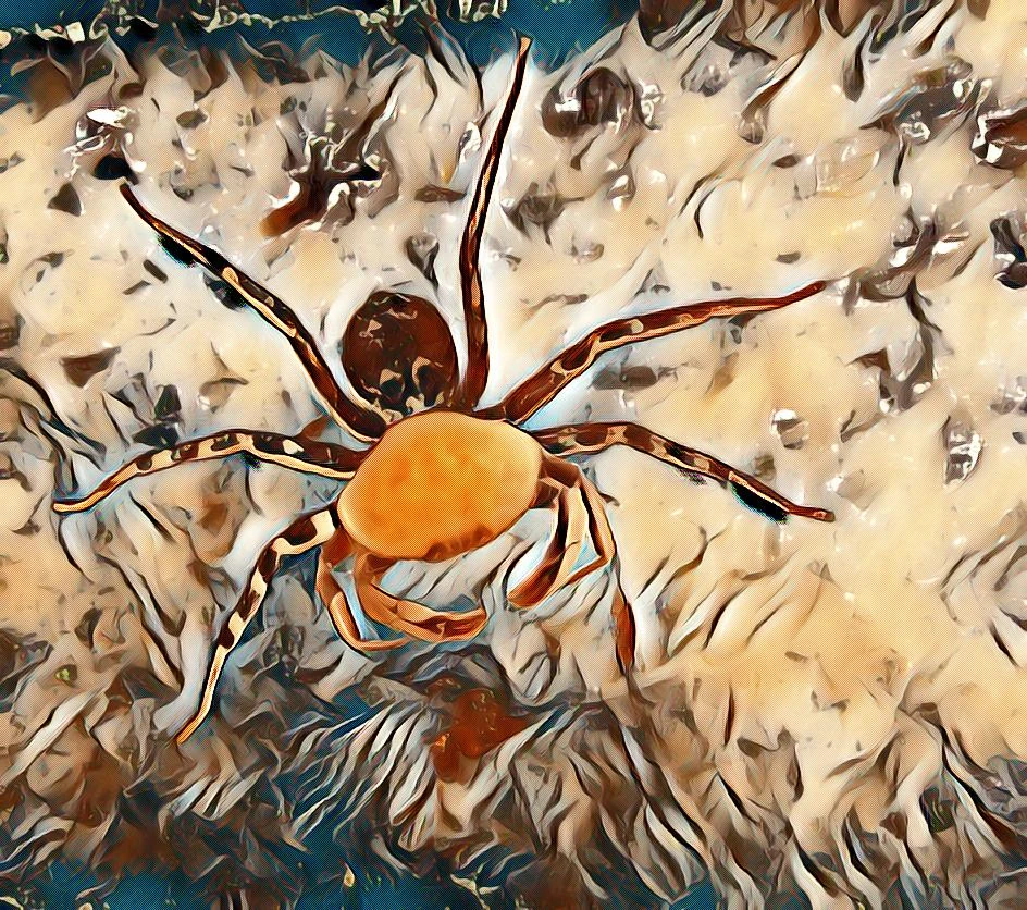 Scarcrawler | Gloria-Etalia Wiki | Fandom