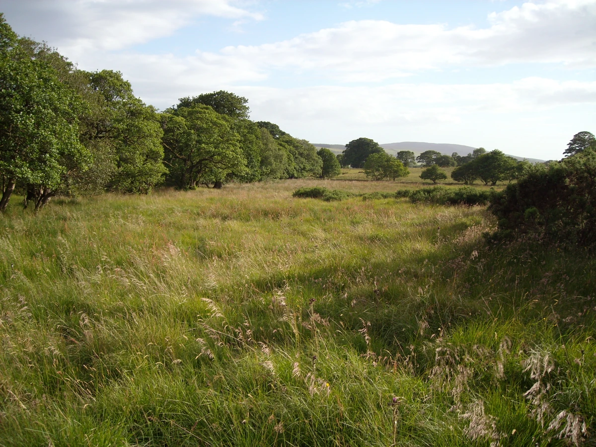 Grassland | Glory of Rome Wiki | Fandom