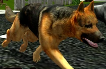 German Shepard | Gluten-Free Games Wiki | Fandom