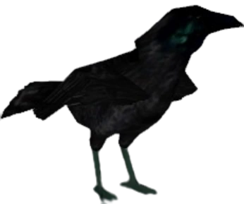 Crow | Garry's Mod Wiki | Fandom