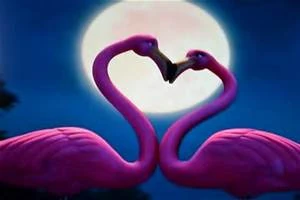 Fluck and flo | Gnomeo and Juliet fanon Wikia | Fandom