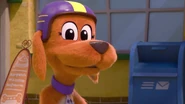 Tag Barker | Go, Dog, Go Wiki | Fandom