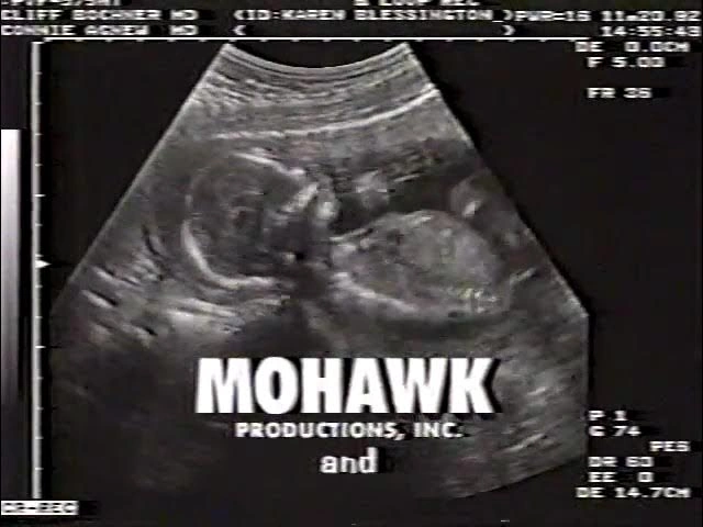Mohawk Productions Inc. | Go!Animate The Movie Wiki | Fandom