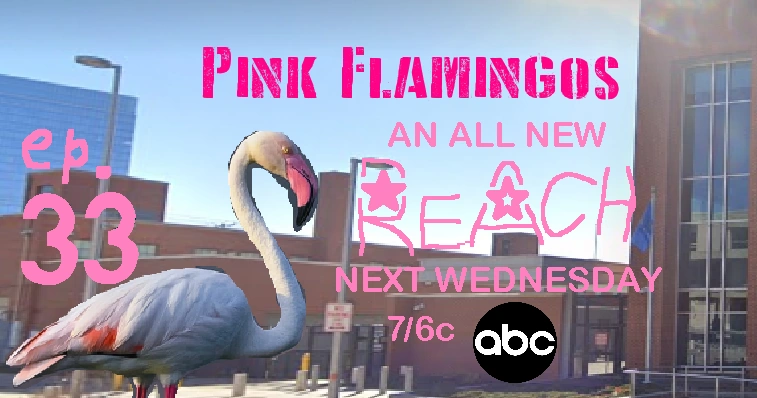 Pink Flamingos (Reach) | Go!Animate The Movie Wiki | Fandom