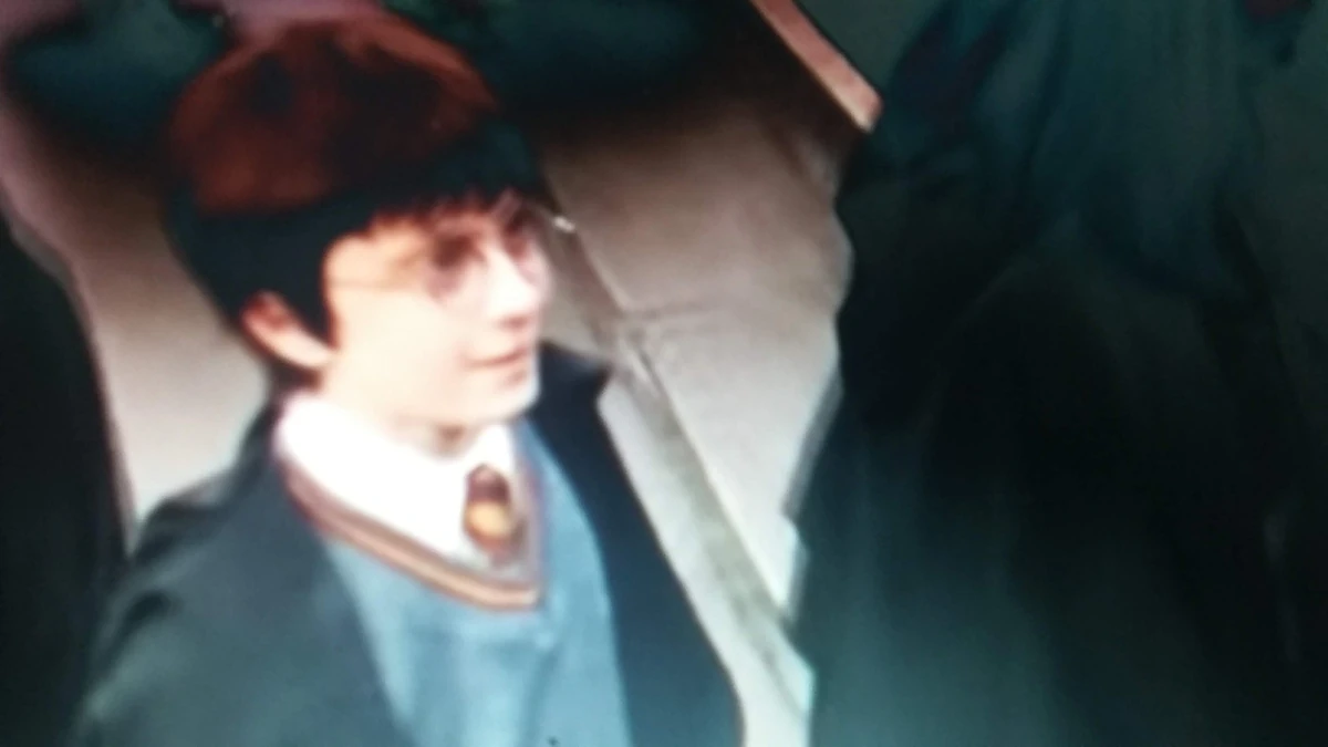 Harry Potter | GoAnimate V2 Wiki | Fandom