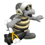 Dry Bone Bro | GoAnimate V2 Wiki | Fandom