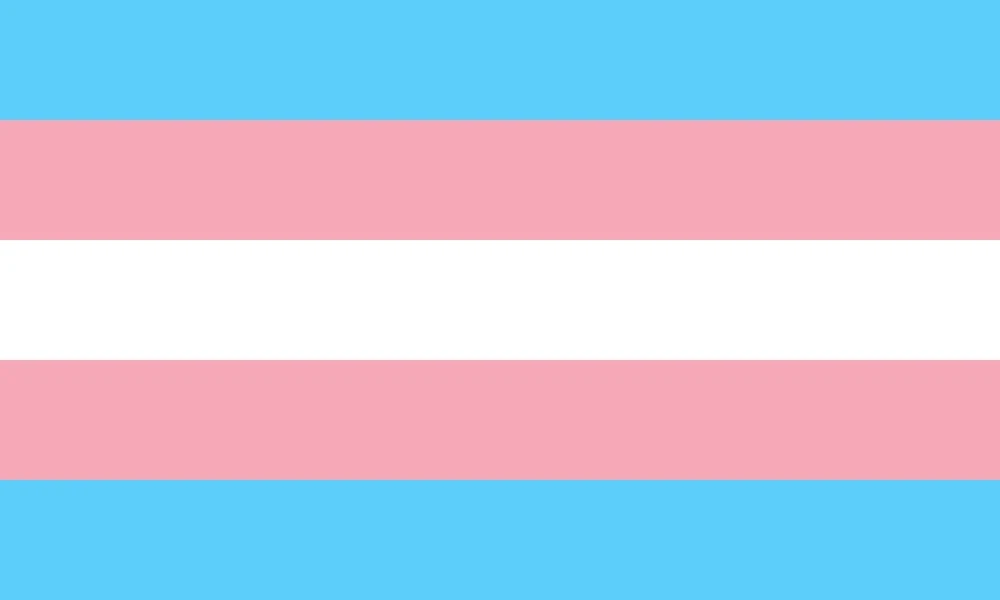 Gender Identities Flags and Symbols | GoAnimate V2 Wiki | Fandom