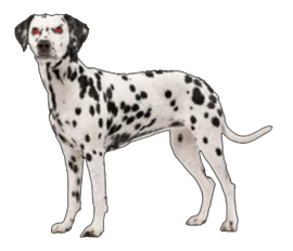 Susie The Dalmatian Dog | GoAnimate V2 Wiki | Fandom