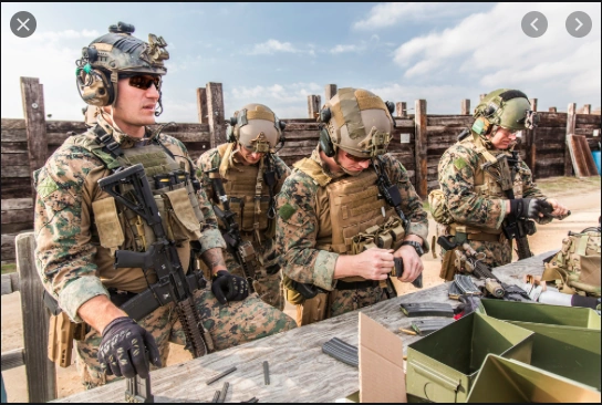 Category:MARSOC | GoAnipedia | Fandom