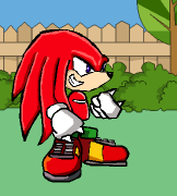 Knuckles The Echidna | GoAnipedia | Fandom