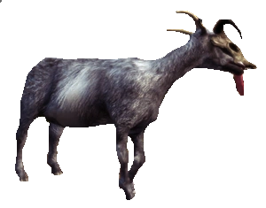 Goat Queen | Goat Simulator вики | Fandom