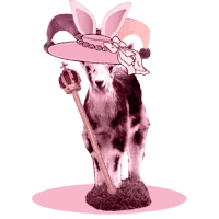 Pink Jestling Doppelganger | Goatlings Wiki | Fandom