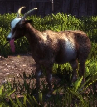 Goat | Goat Simulator Wiki | Fandom