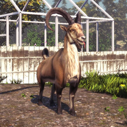 Don Pastrami - Official Goat Simulator Wiki