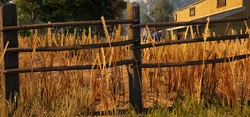 Fence (GS3) - Official Goat Simulator Wiki