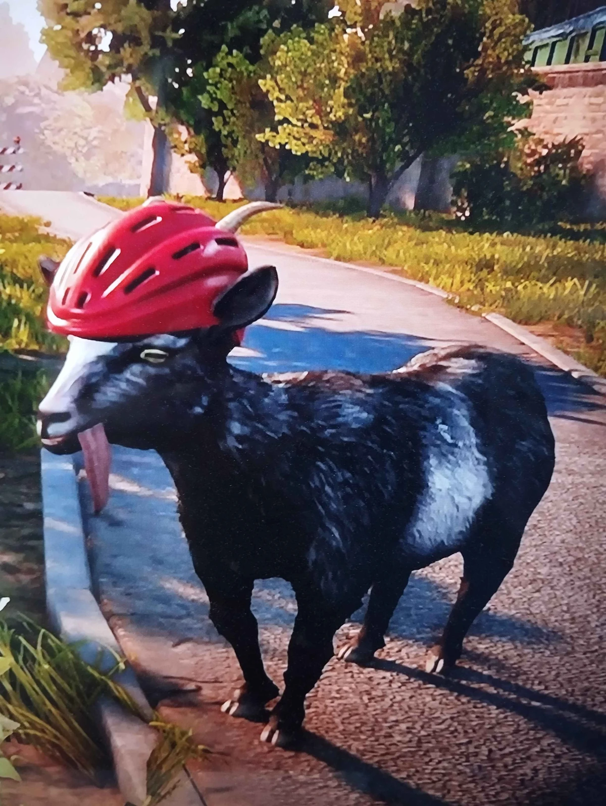 Bike Helmet - Official Goat Simulator Wiki