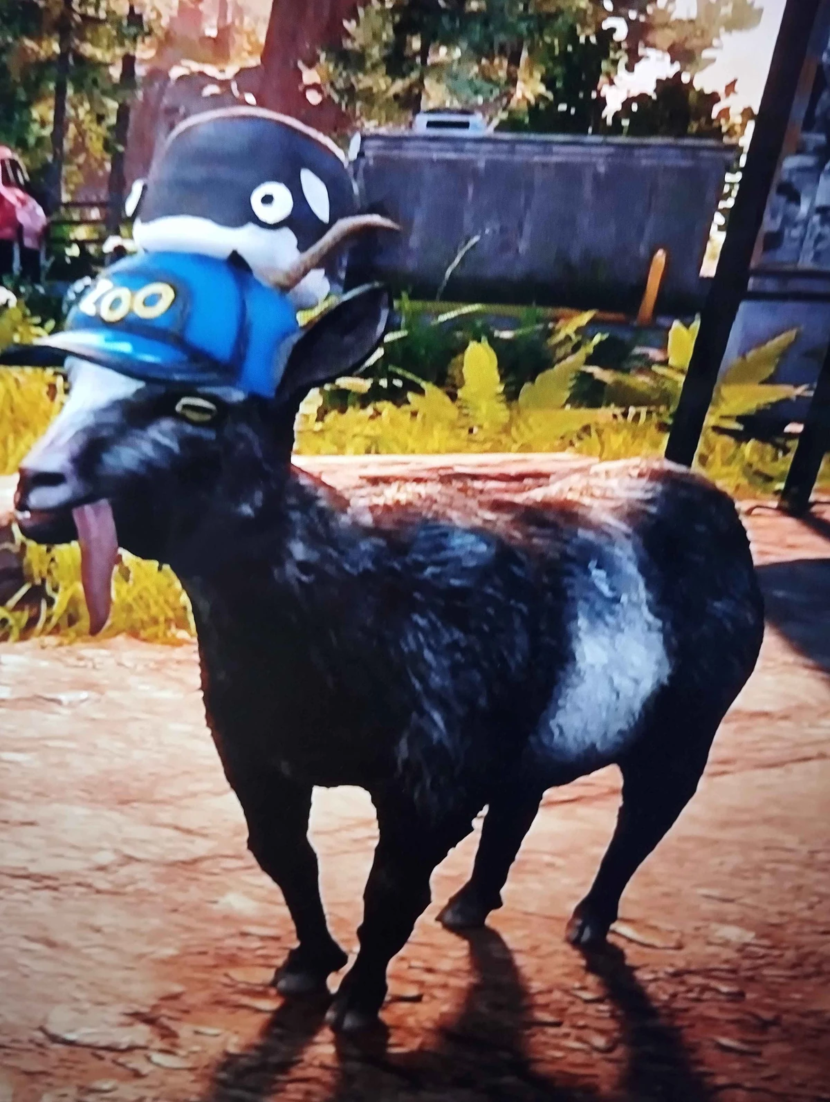 Billy's Official Limited Edition Baseball Cap Merchandise - Official ...