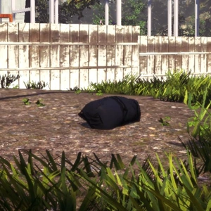 Bag - Official Goat Simulator Wiki