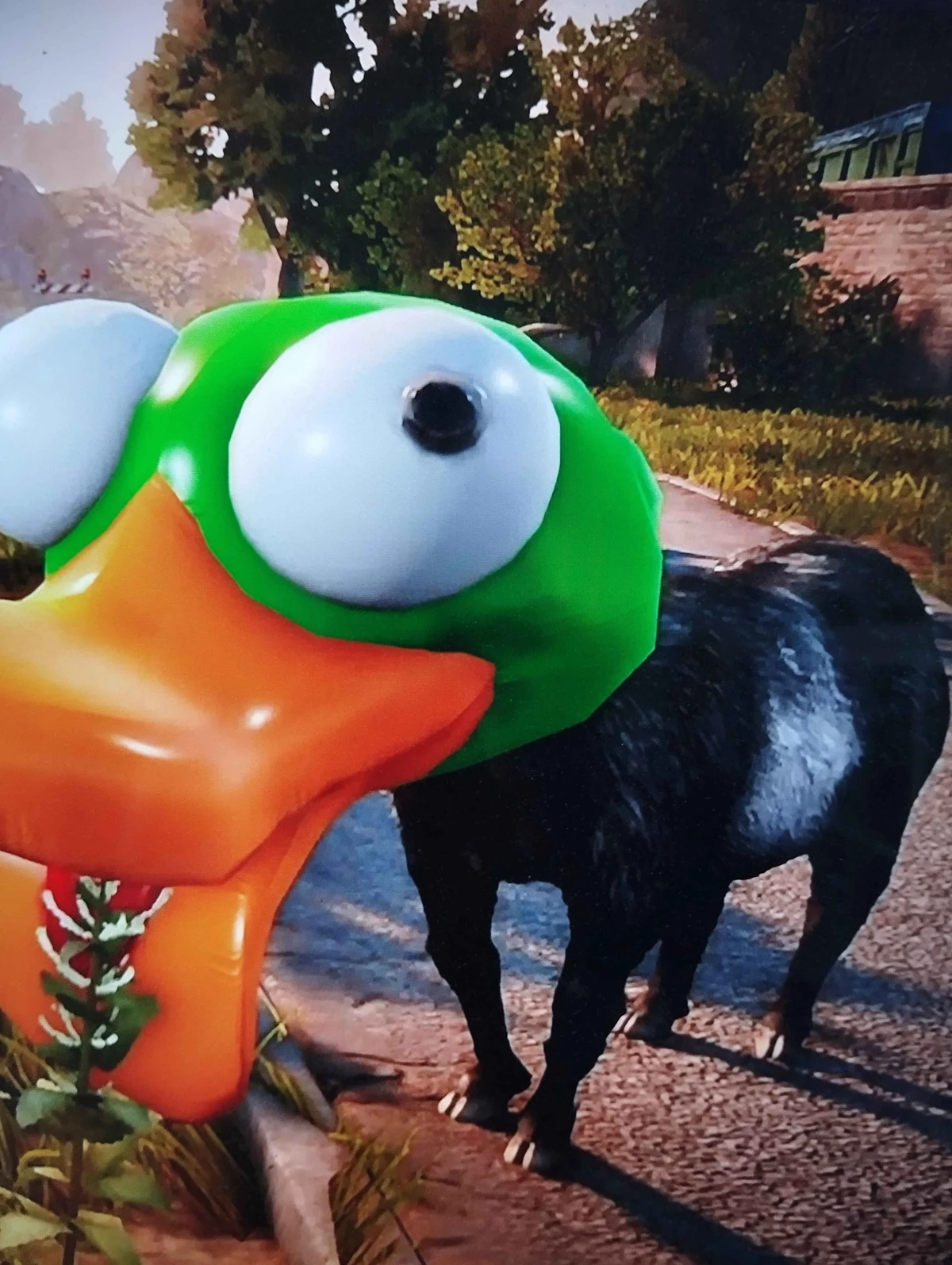 Duck Head - Official Goat Simulator Wiki