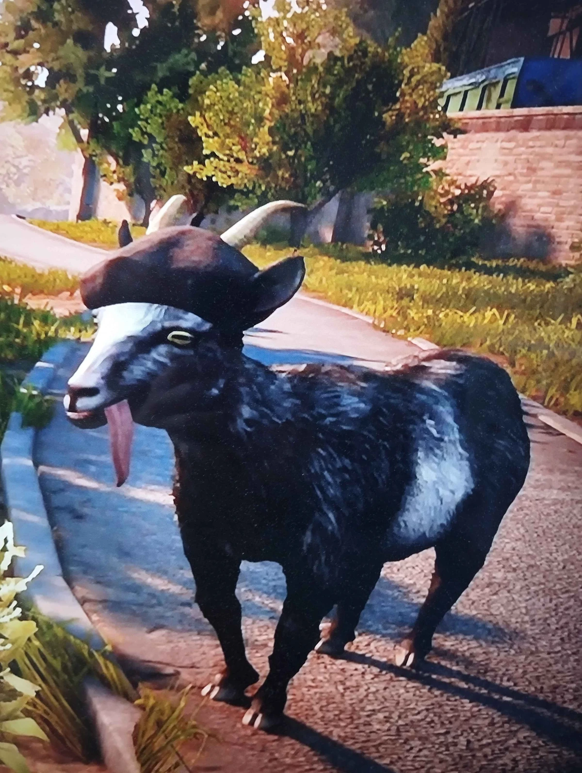 Le Béret - Official Goat Simulator Wiki