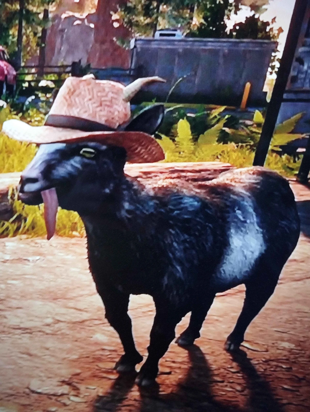 Old Macpilgor - Official Goat Simulator Wiki
