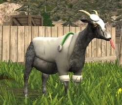 Doctor Goat - Official Goat Simulator Wiki