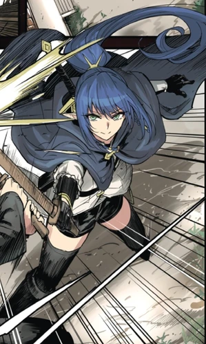 Elf Swordswoman | Goblin Slayer Wiki | Fandom