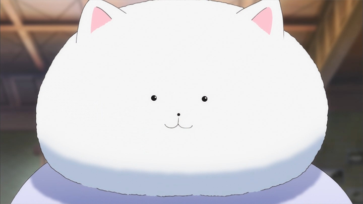 Tippy | Wikia Gochuumon wa Usagi Desu ka? | Fandom