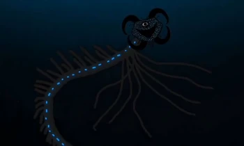 Eldritch Sea | God Amogus's Empire Wiki | Fandom