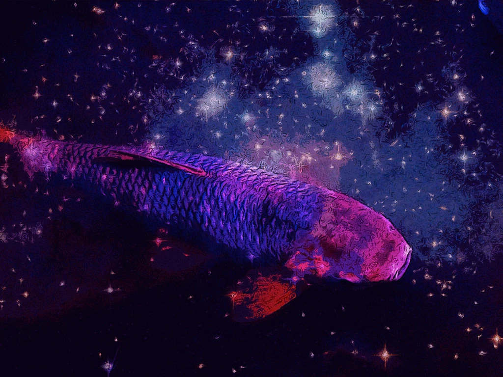 Cosmic Fish | God Entities Wiki | Fandom