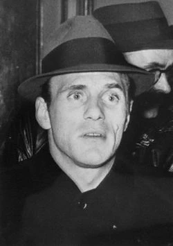 Joe Gallo | The Godfather Video Game Wiki | Fandom