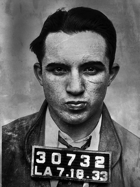 Spizzirri crime family | The Godfather Video Game Wiki | Fandom