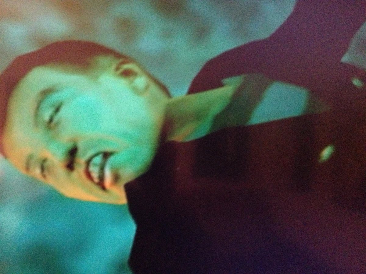 Chang Eung-sok | The Godfather Video Game Wiki | Fandom