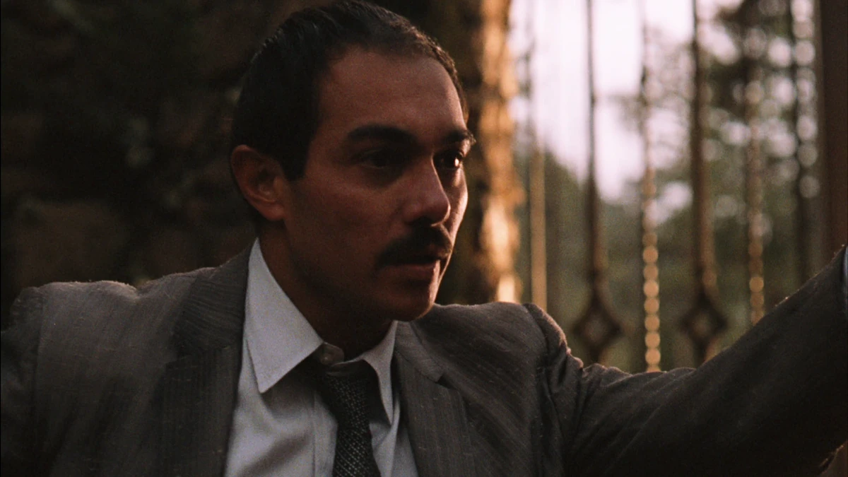 Joseph Della Sorte | The Godfather Wiki | Fandom