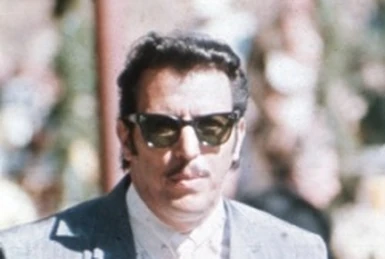 Vincenzo Pentangeli My Meaningful Movies: The Godfather Part II