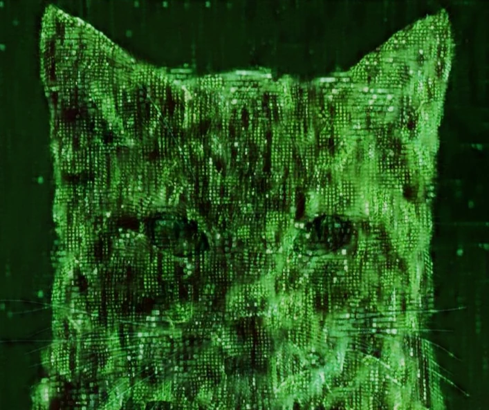 Matrix Cat | Godmodes Wiki | Fandom