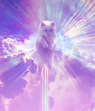 THE CAT GOD | Godmodes Wiki | Fandom