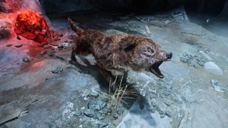 Lobo Rabioso | God of War Wiki | Fandom