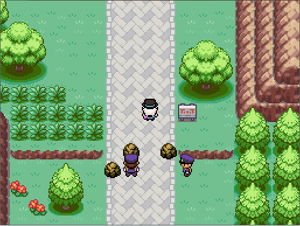 Route 15 | Godra Wiki | Fandom