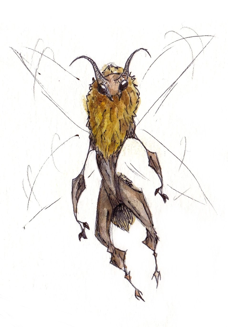Honey Bee | Gods and Insects Wikia | Fandom