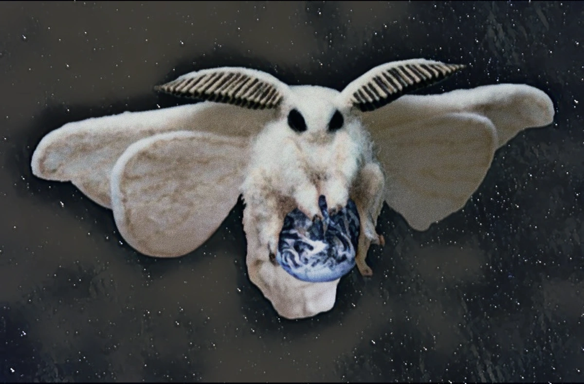 Are Poodle Of Moths Real