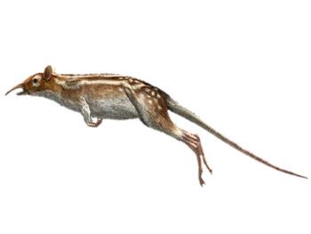 Leptictidium | Godzilla and friends Wiki | Fandom