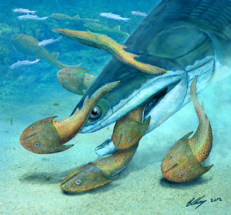 Megamastax | Godzilla and friends Wiki | Fandom