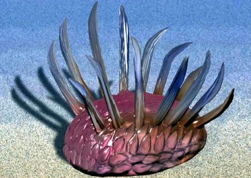 Wiwaxia | Godzilla and friends Wiki | Fandom