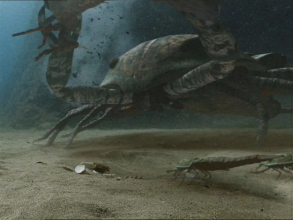 Pterygotus | Godzilla and friends Wiki | Fandom