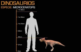 Microceratus | Godzilla and friends Wiki | Fandom